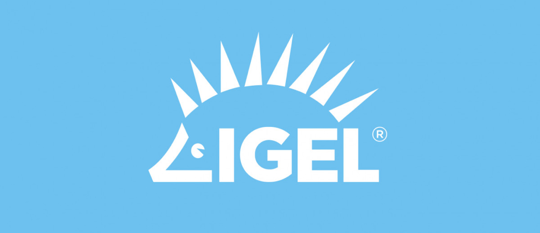 Igel racheté par le fonds d’investissement américain TA Associates ...